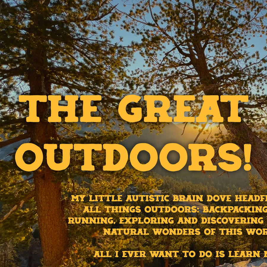 About Pepper | Pepper Steps