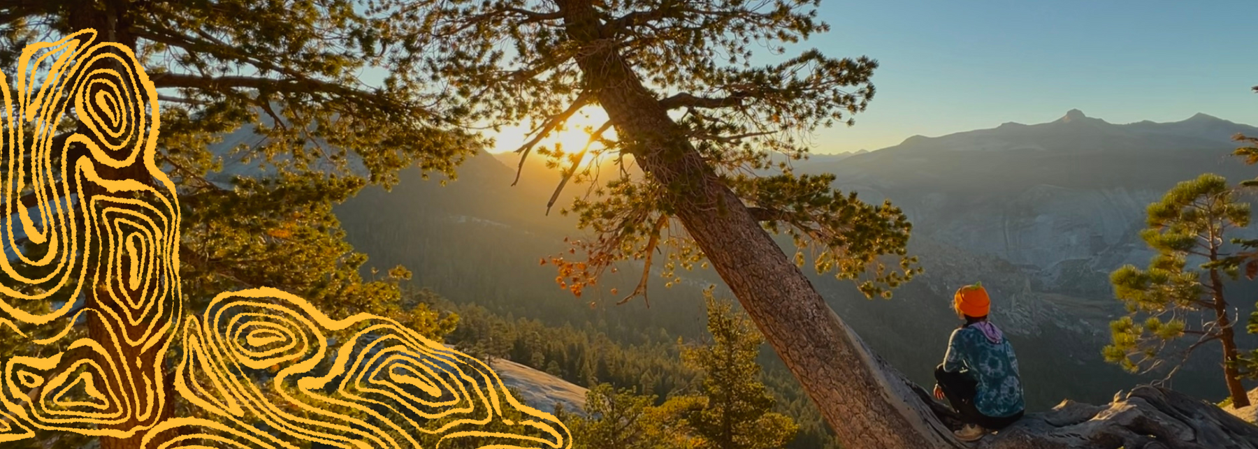 About Pepper | Pepper Steps