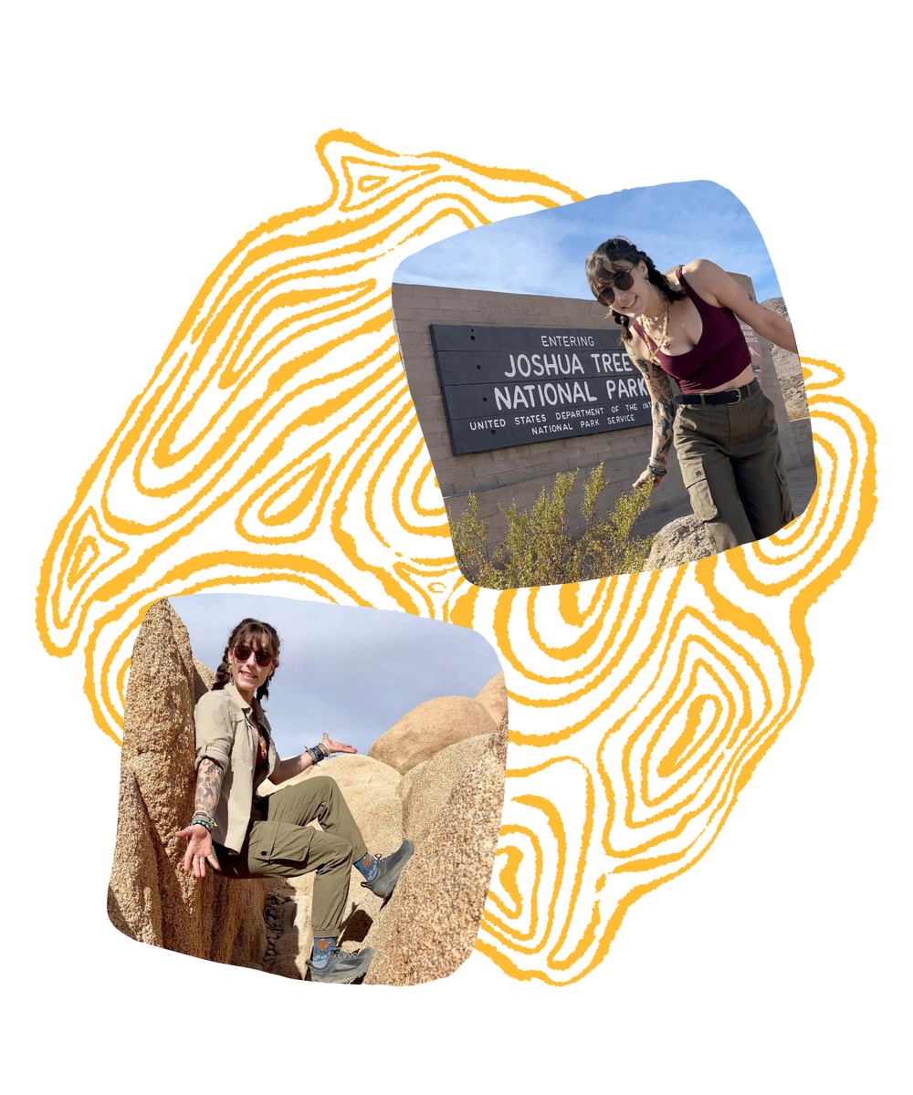 About Pepper | Pepper Steps